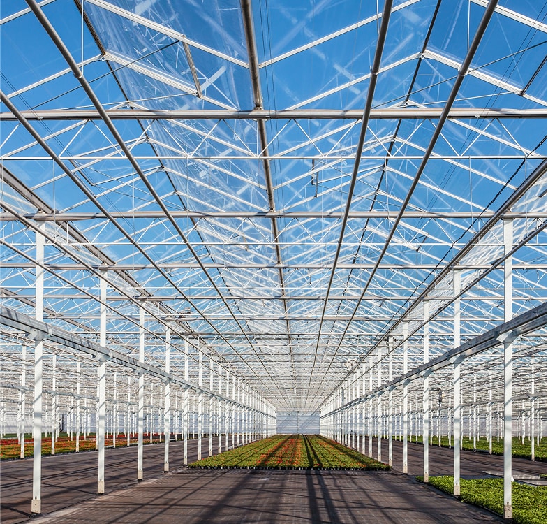 FloraLife® D.C.D.® Disinfectant Cleaner - Oasis Grower Solutions