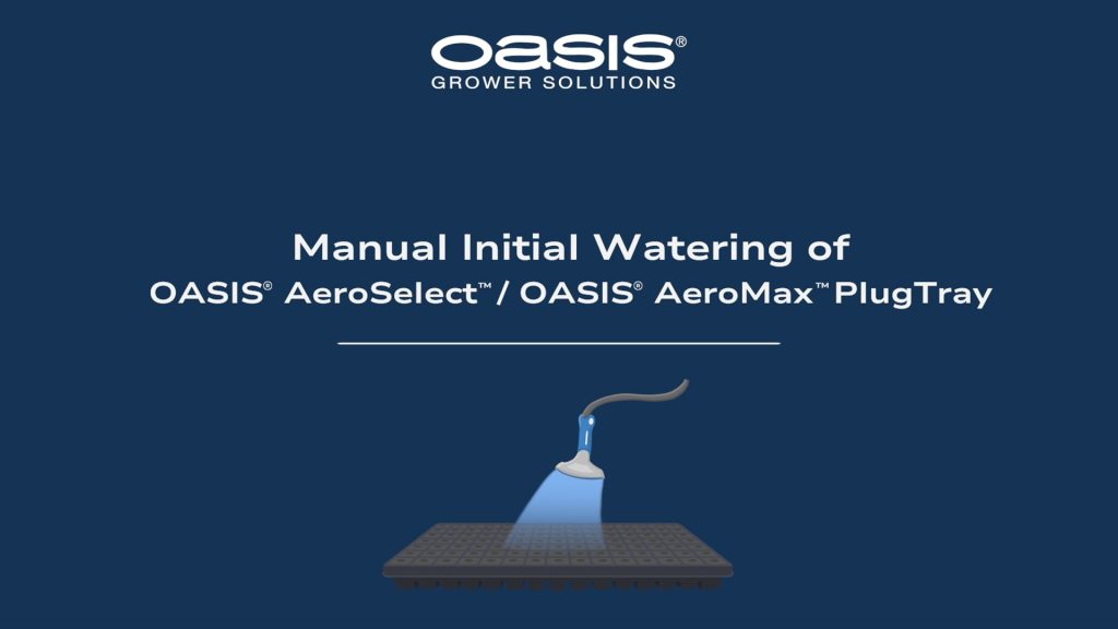 OASIS® AeroMax™ PlugTray - Oasis Grower Solutions