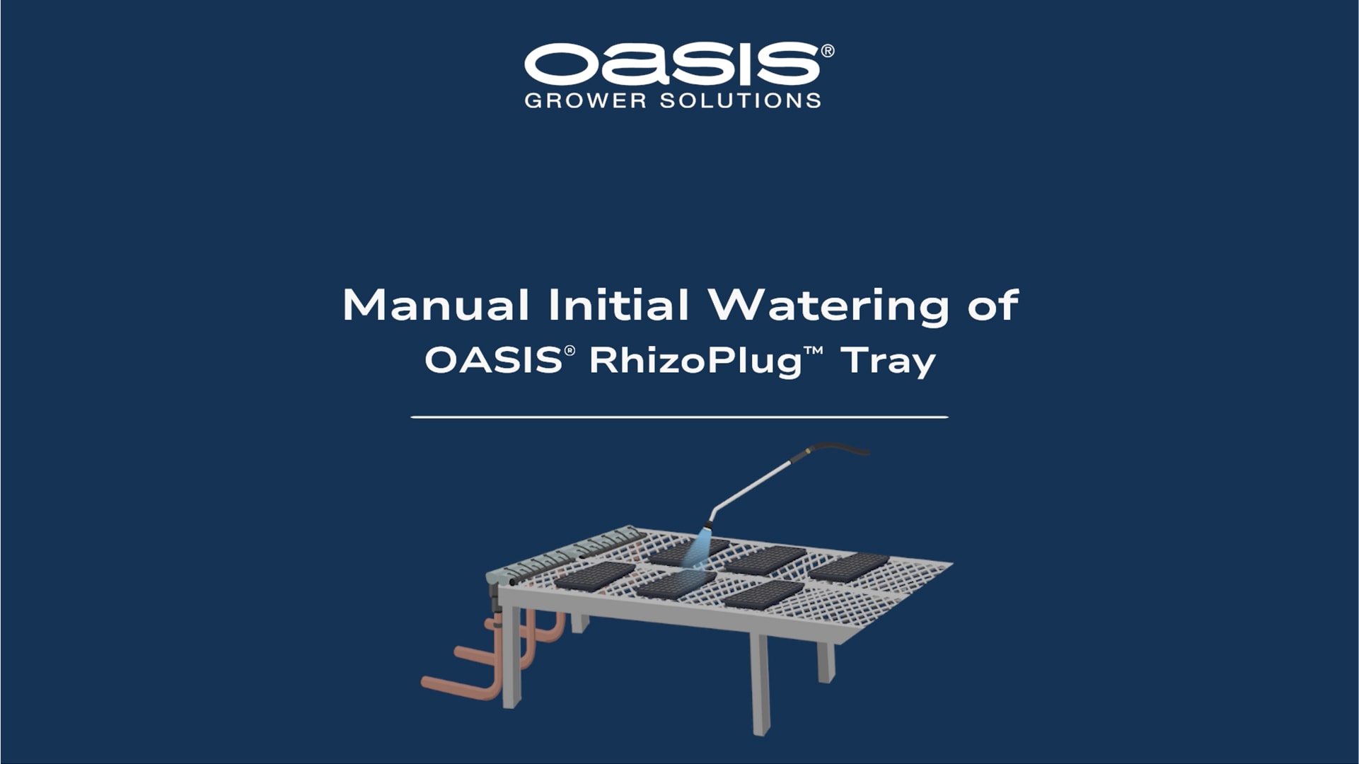 OASIS® RhizoPlug™ Tray - Oasis Grower Solutions