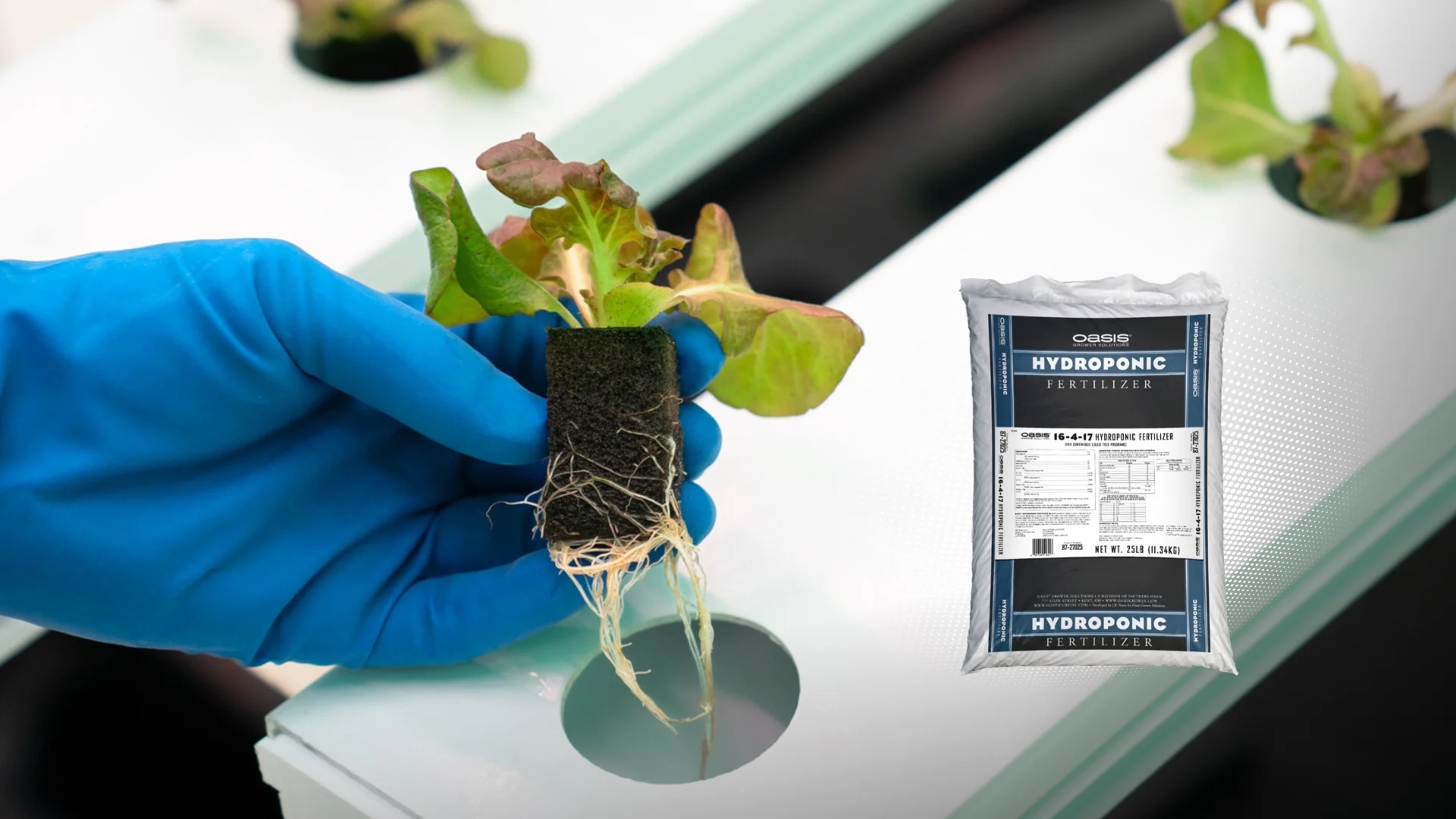 Foam Substrates, Hydroponic Fertilizer and You - Oasis Grower Solutions